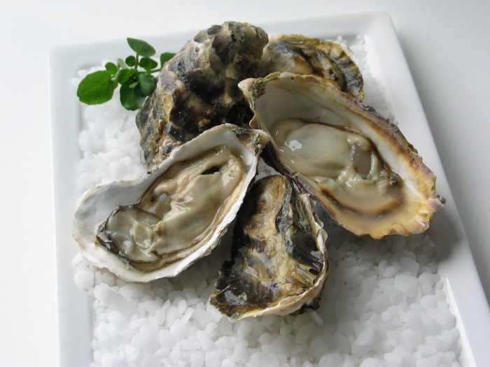 Protecting People and Our Planet: The Amazing and Hardworking Oyster ...