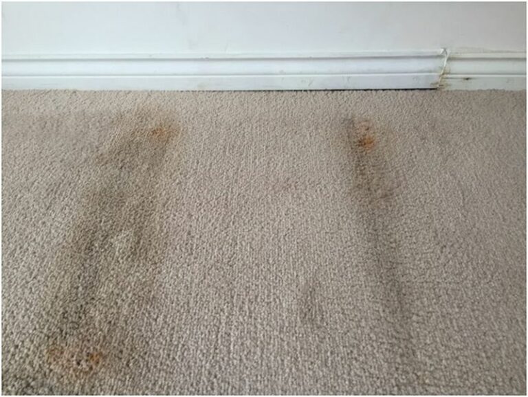 Dirty Carpets: A Hidden Health Hazard in Your Home